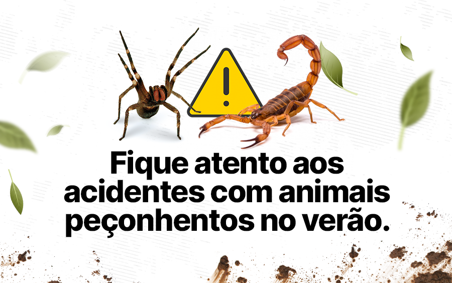 Dive alerta para aumento de acidentes com animais peçonhentos ...
